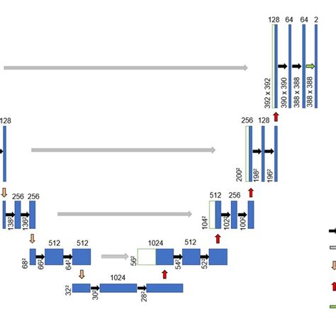 Architecture Of The Proposed U Net Network Used In [70] Download Scientific Diagram