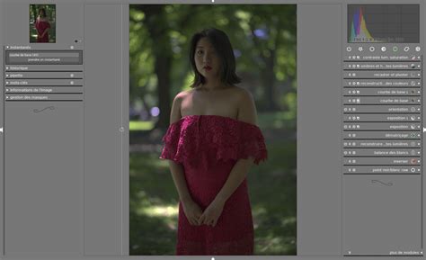 Solving Dynamic Range Problems In A Linear Way Page 6 Darktable