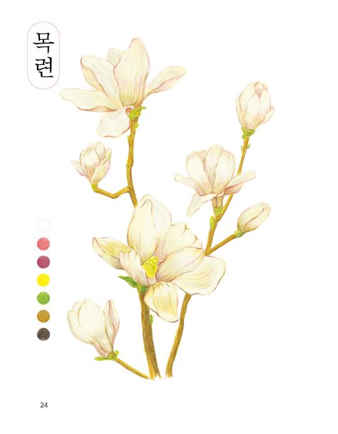 알라딘 미리보기 색연필로 그리는 꽃그림