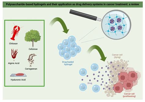 Polysaccharide Based Hydrogels And Their Application As Drug Delivery
