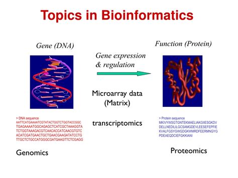 Ppt Introduction To Bioinformatics Powerpoint Presentation Free