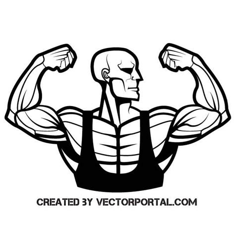 Bodybuilder Vector Clip Art Vector Free Clip Art Vector Illustration