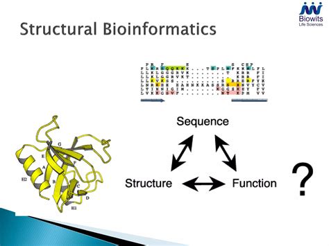 Basics Of Bioinformatics Pdf Genetics Science