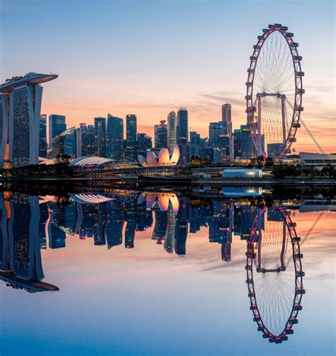 Mom Verification Asia Background Check