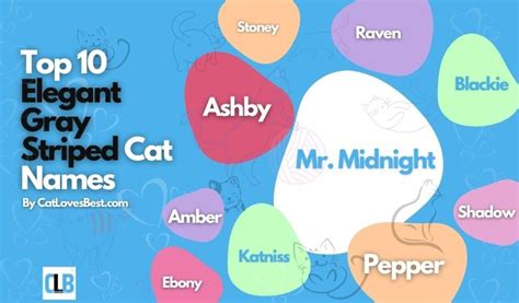 600 Tiger Striped Cat Names For Both Male And Female Kitties