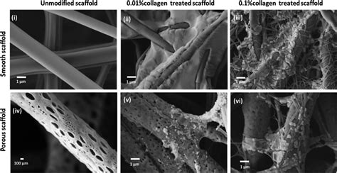 Morphological And Structural Characterization Of Unmodified And Download Scientific Diagram
