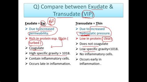 Proteinaceous Exudate