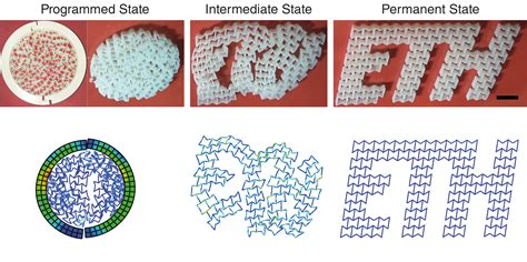 Design Of 4d Printed Large Shape Transforming Auxetic Structures Engineering Design And