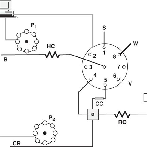 Sequential Injection Sequence For The Determination Of Nitrate In Dairy Download Scientific
