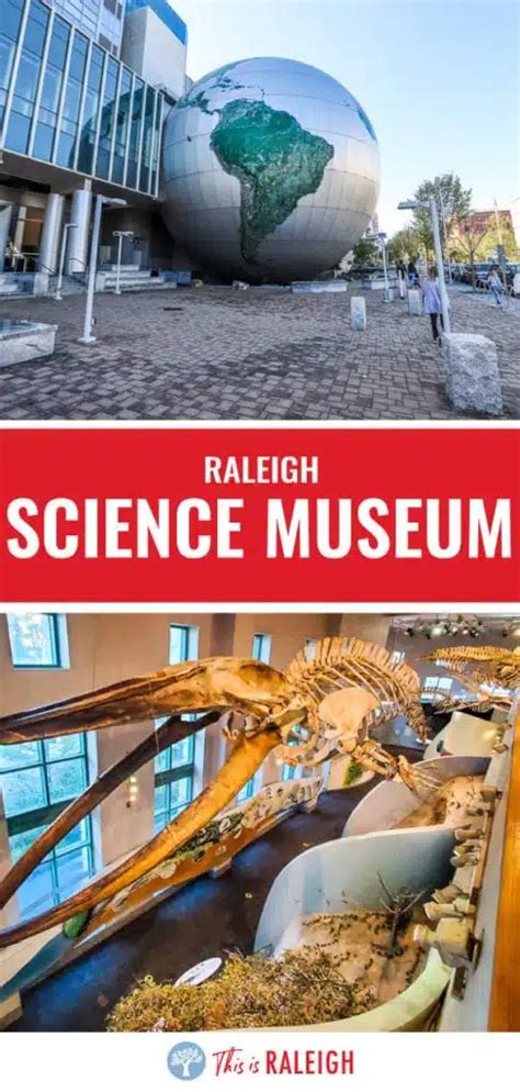 Guide To Visiting North Carolina Museum Of Natural Sciences In Downtown