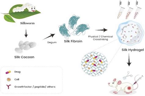 A Comprehensive Review Of Silk Fibroin Hydrogels For Cell And Drug Delivery Applications In