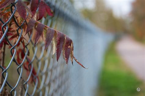 38 bokeh 3