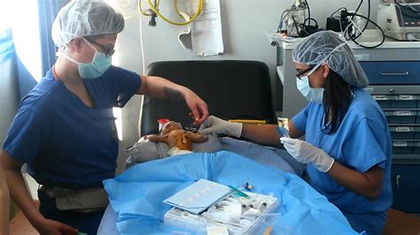 Umbilical Artery Catheter