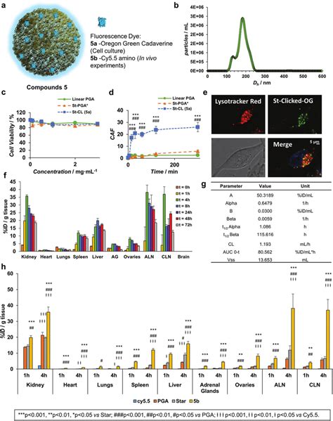 Biological Validation Of The Covalently Captured Nanostructures As Drug Download Scientific