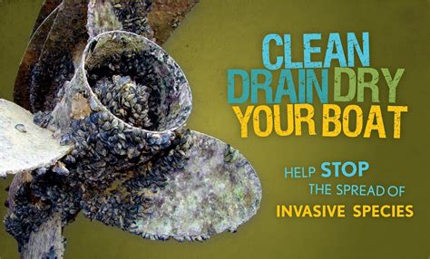 Get 10 Off Your 2023 Annual Ais Boating Permit Whatcom Boat Inspections