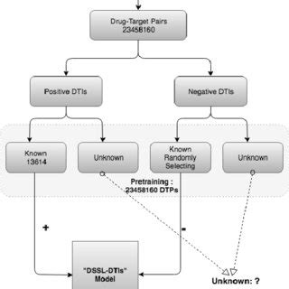 The Flowchart Of Data Sets Download Scientific Diagram