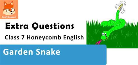 Extra Questions For Garden Snake Class 7 English Honeycomb