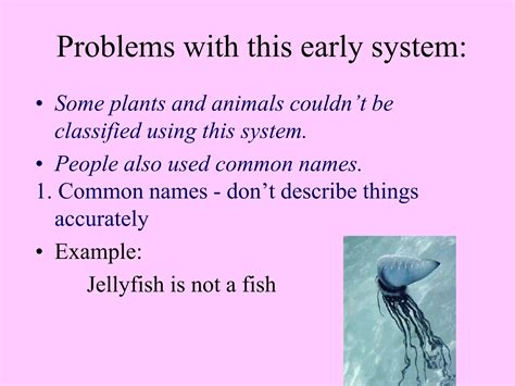 Levels Of Classification Pptx Biological Sciences Science Levels Of Classification Pptx Biological Sciences Science