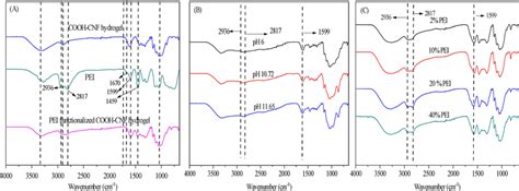 Ftir Analysis For A Cooh Cnf Hydrogels Pei And Cooh Cnf Pei Hydrogels Download Scientific