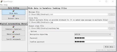 Openstego 隐写术及数字水印添加教程 Csdn博客