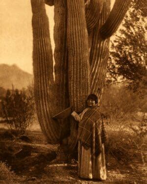 Pima Native Americans Edward Curtis Photos
