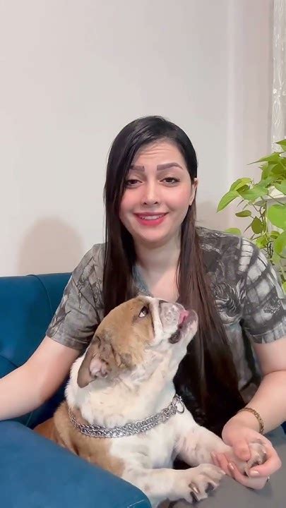 بولداگانگلیش بولداگ 09116732771 Youtube