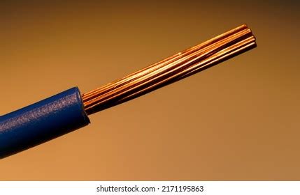 Naked Wires Images Stock Photos Vectors Shutterstock