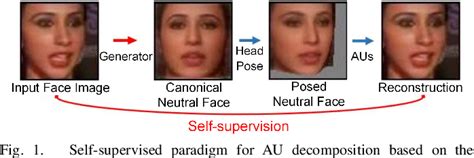 Figure 1 From Facial Action Unit Representation Based On Self Supervised Learning With Ensembled