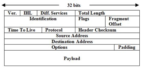 P Packet Header Format Download Scientific Diagram