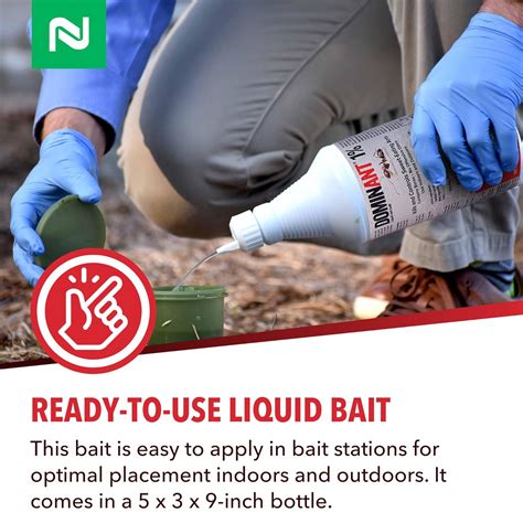 Nisus Dominant 1 Liquid Ant Bait Borax Based Formula India Ubuy