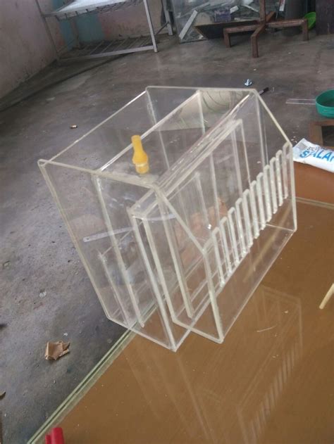 My First Overflow Diy Diy Aquarium Freshwater Aquarium Fresh Water