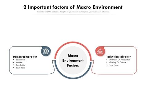 2 Important Factors Of Macro Environment Presentation Graphics Presentation Powerpoint