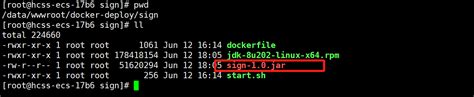 Jenkins流水线打包镜像docker部署jenkins打包发布部署docker Csdn博客