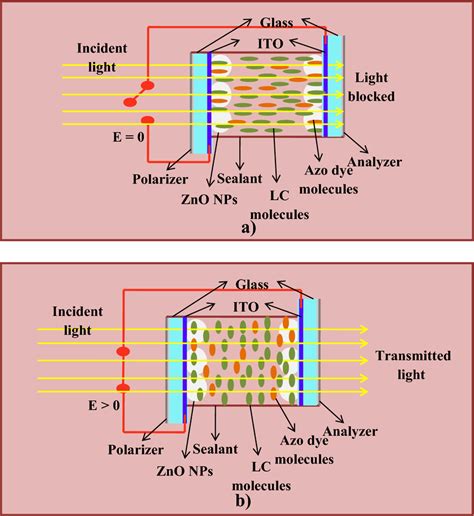 Schematic Representation Of Dye Doped Nps Induced Homeotropically Download Scientific Diagram
