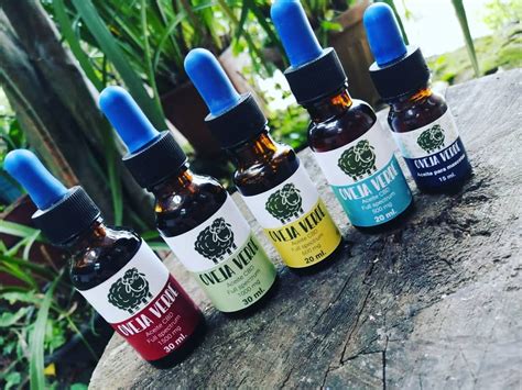 Adraco Solutions En Adraco Solutions Estamos Buscando Desarrollador