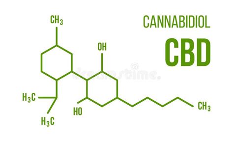 Cannabinol Chemistry Cannabis Formula On White Background Vector Symbol