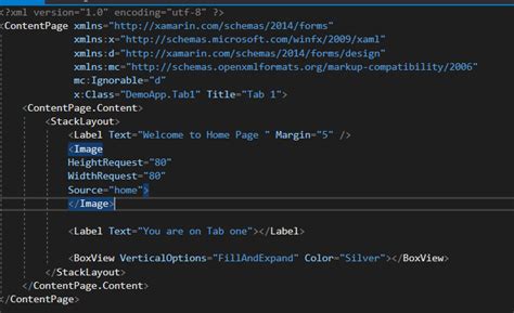 Pages And Its Types In Xamarinforms Tabbed Page Part 4 Siddhesh Shelke
