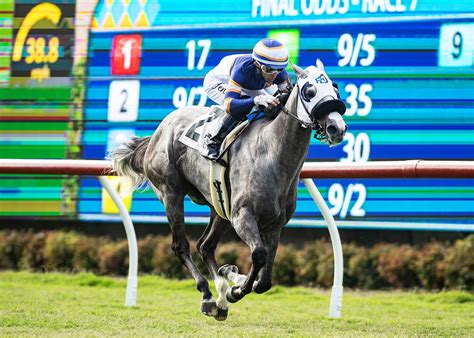 Off For Nearly Two Years Connie Swingle Tops Damato Exacta In Daisycutter