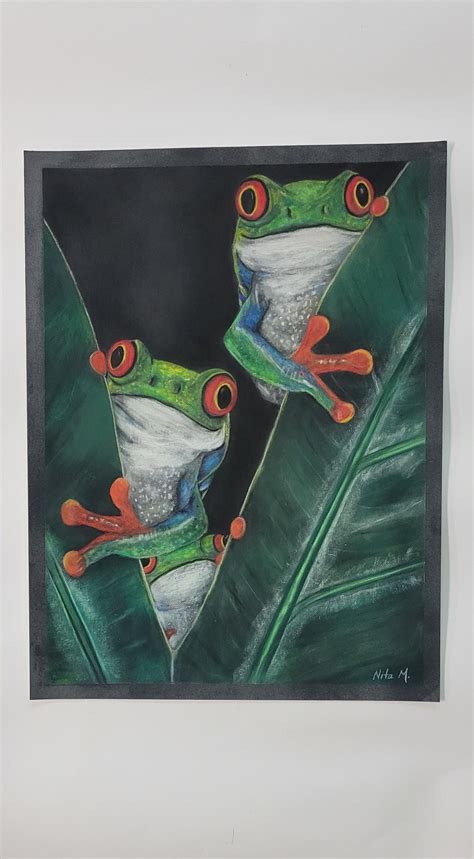 Original Tree Frog Pastel Drawing Etsy Original Tree Frog Pastel Drawing Etsy