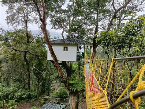 Silver Trees Tree House 𝗕𝗢𝗢𝗞 Munnar Tree house 𝘄𝗶𝘁𝗵 𝟬 𝗣𝗔𝗬𝗠𝗘𝗡𝗧