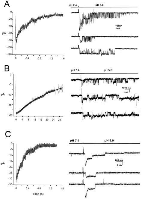 Desensitization Rates Of Asic1 A Asic2a B And Asic3 C A