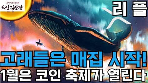 리플 Xrp 고래들은 매집 시작 1월은 코인 축제가 열린다 Youtube