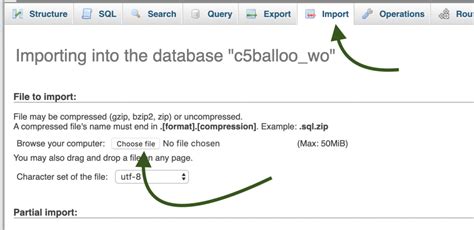 migrate existing wordpress site to siteground manually 5 balloons