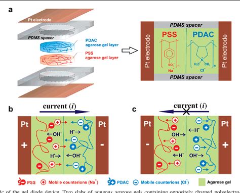 Figure 1 From Polyelectrolyte Diode Nonlinear Current Response Of A Junction Between Aqueous