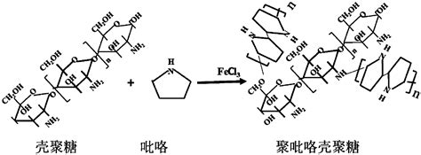 3d Polypyrrole Chitosan Gelatin Composite Electric Conduction Material