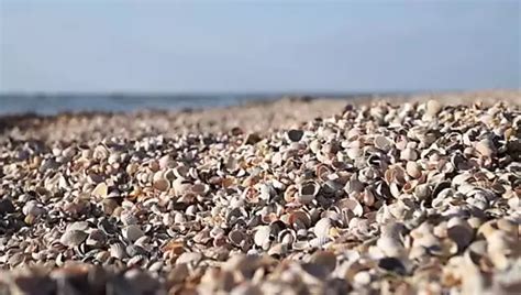 Ftp Porn Videos Xhamster