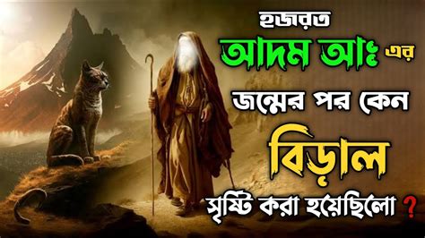 হজরত আদম আঃ এর জন্মের পরপরই কেন বিড়াল সৃষ্টি করা হয়েছিলো Cats In Islam The Sunnah And