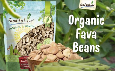Organic Fava Beans 15 Pounds Broad Beans Non Gmo