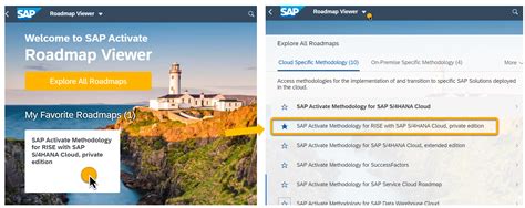 Sap Activate Methodology For Rise With Sap Sap S4 Sap Community
