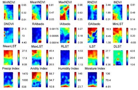 Visualization Of The Two Plane Components Of The Self Organizing Map